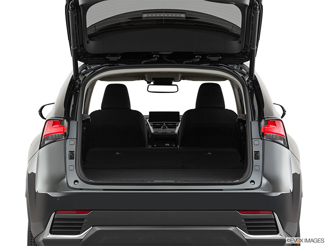 2020 Lexus NX 300h: Reviews, Price, Specs, Photos and Trims | Driving.ca