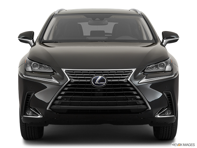 2020 Lexus NX 300h: Reviews, Price, Specs, Photos and Trims | Driving.ca