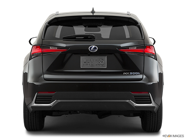 2020 Lexus NX 300h: Reviews, Price, Specs, Photos and Trims | Driving.ca