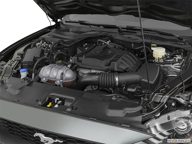 2020 Ford Mustang: Reviews, Price, Specs, Photos and Trims | Driving.ca