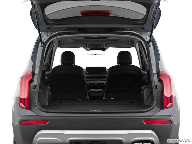 2021 Kia Telluride: Reviews, Price, Specs, Photos and Trims | Driving.ca