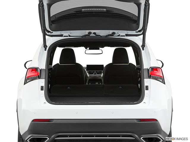 2021 Lexus NX 300: Price, Review, Photos and Specs - Read This Before ...