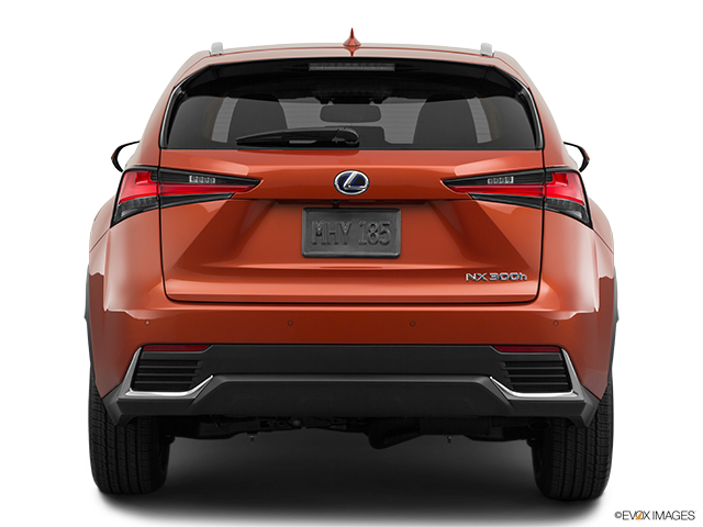 2021 Lexus NX 300h: Price, Review, Photos and Specs - Read This Before ...