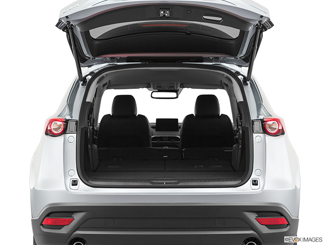 2021 Mazda CX-9: Price, Review, Photos and Specs - Read This Before You Buy