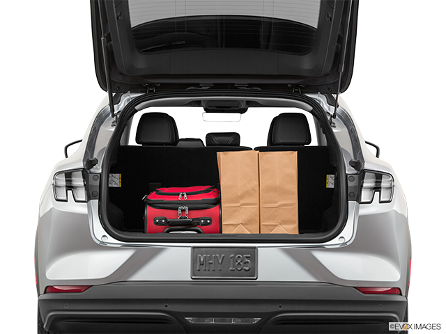 2021 Ford Mustang Mach-E: Price, Review, Photos and Specs - Read This ...