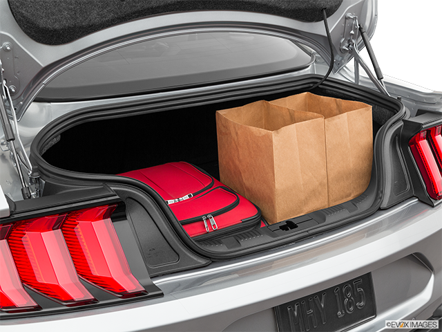 2021 Ford Mustang: Price, Review, Photos and Specs - Read This Before ...